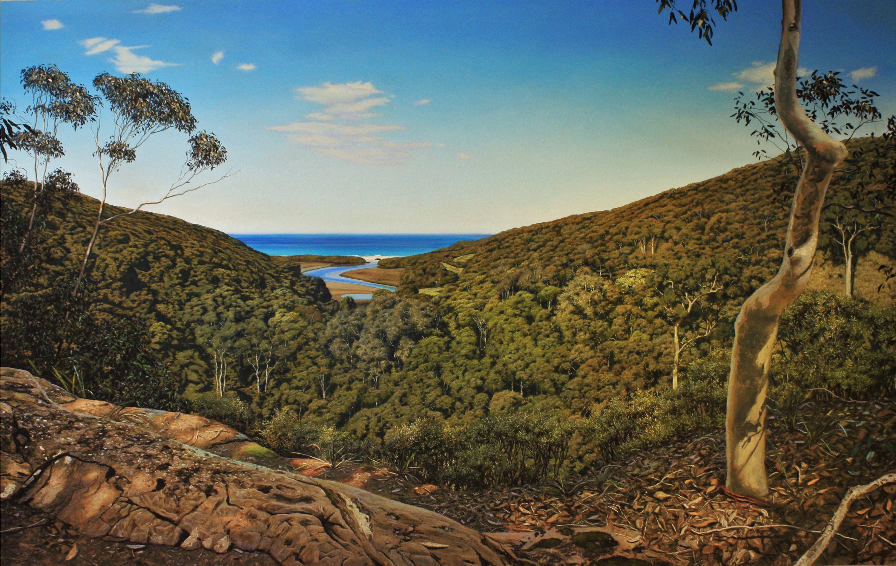Cooks Hill Galleries | Buy and sell art. Art valuations. Art Gallery.