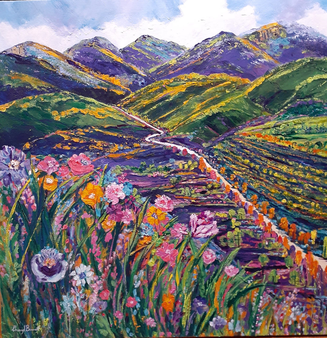 Into the valley of colour – Cooks Hill Galleries