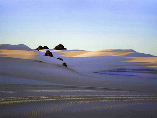 Neil Taylor – Cooks Hill Galleries