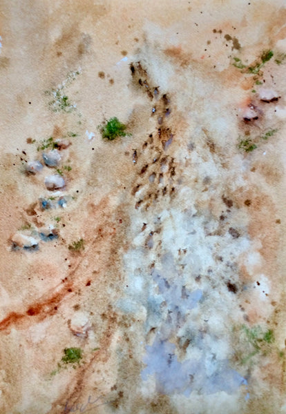 David Beschi - Artist | Buy art by David Beschi at Cooks Hill Galleries