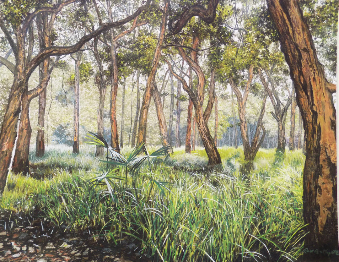 Saltwater Tea Tree Forest by Rod Bathgate - Art from Cooks Hill Galleries